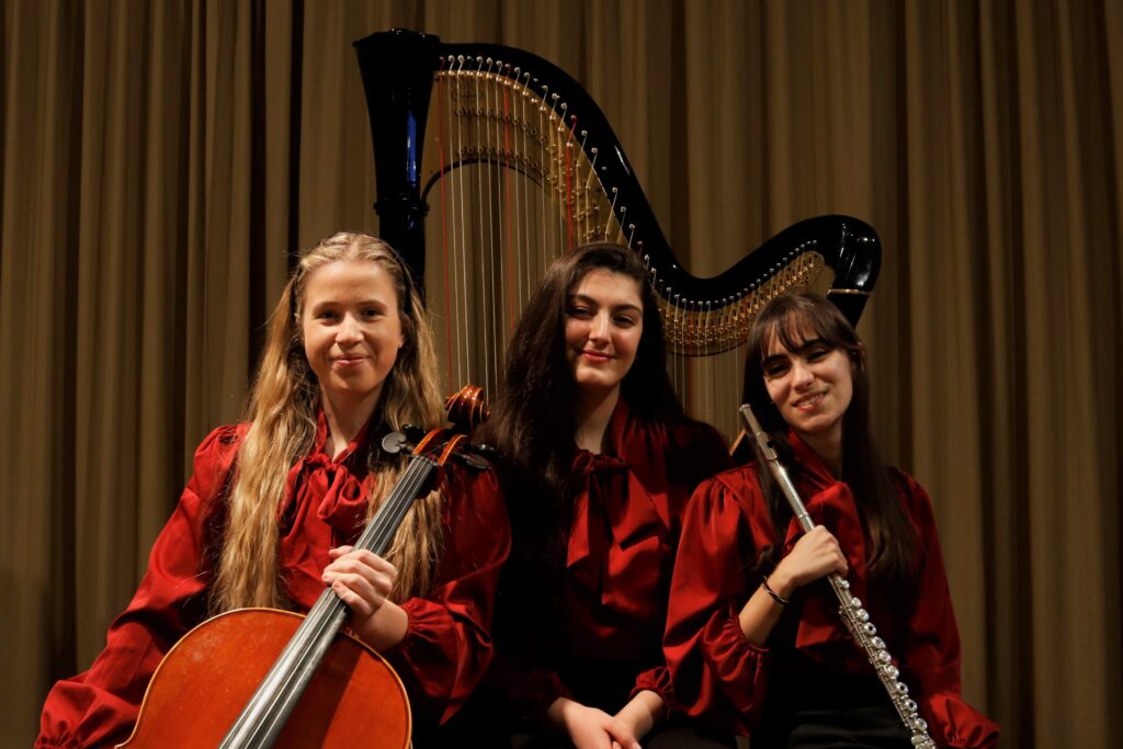 Musica su tela, il grande repertorio italiano dal Barocco al Novecento ...